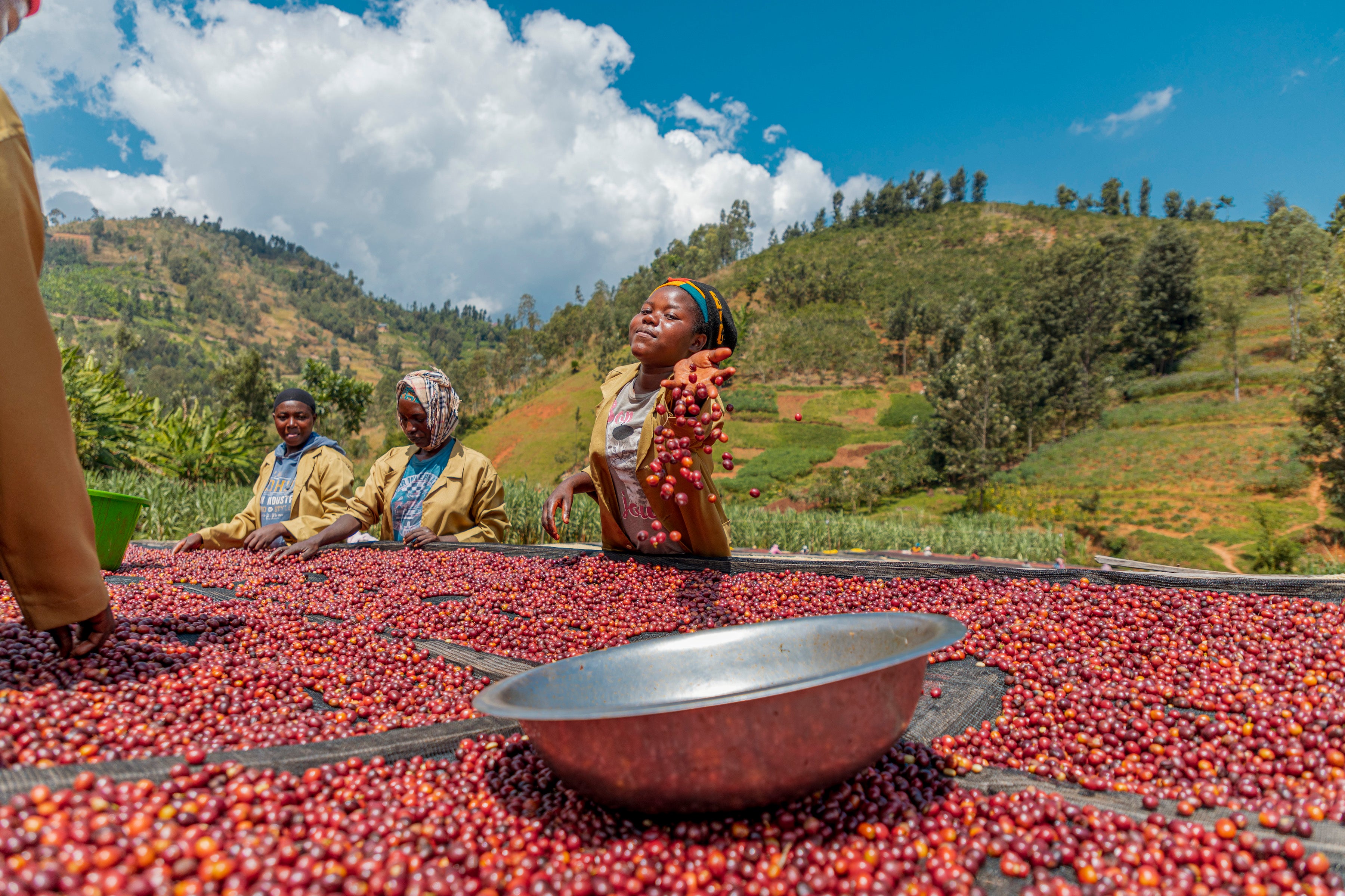 Coffee – Indie Coffee Roasters